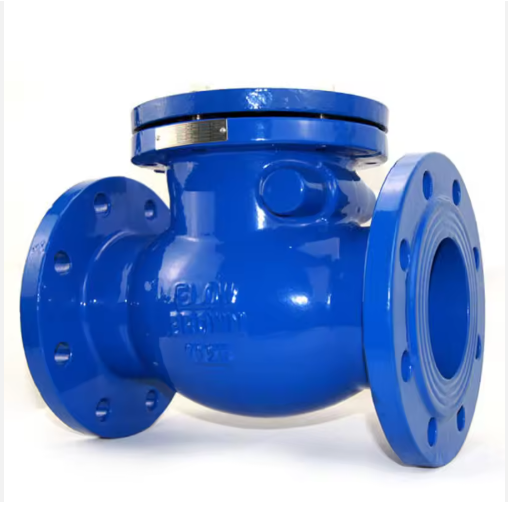 China Ductile Iron Normal Temperature PN16 Flange Ends Non Return Valve ...